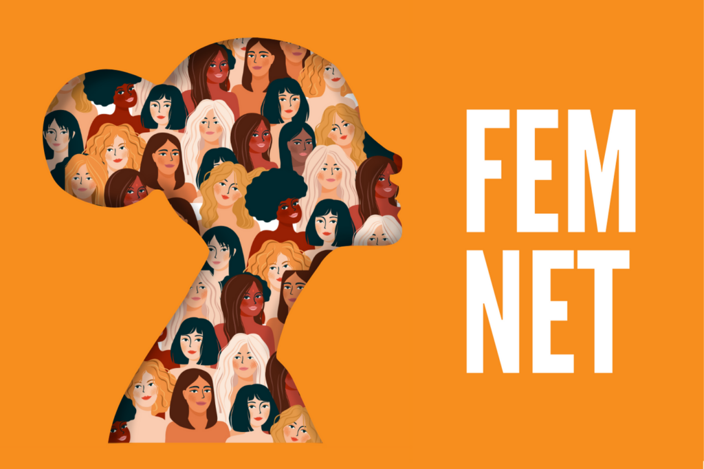 fem-net